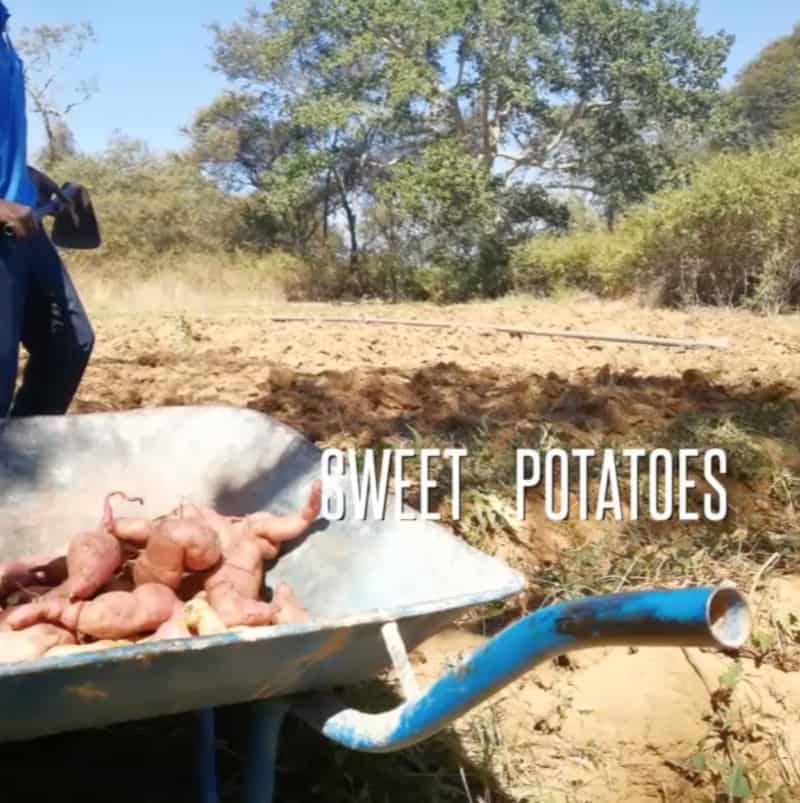 A reason to celebrate - Scripture Union Global